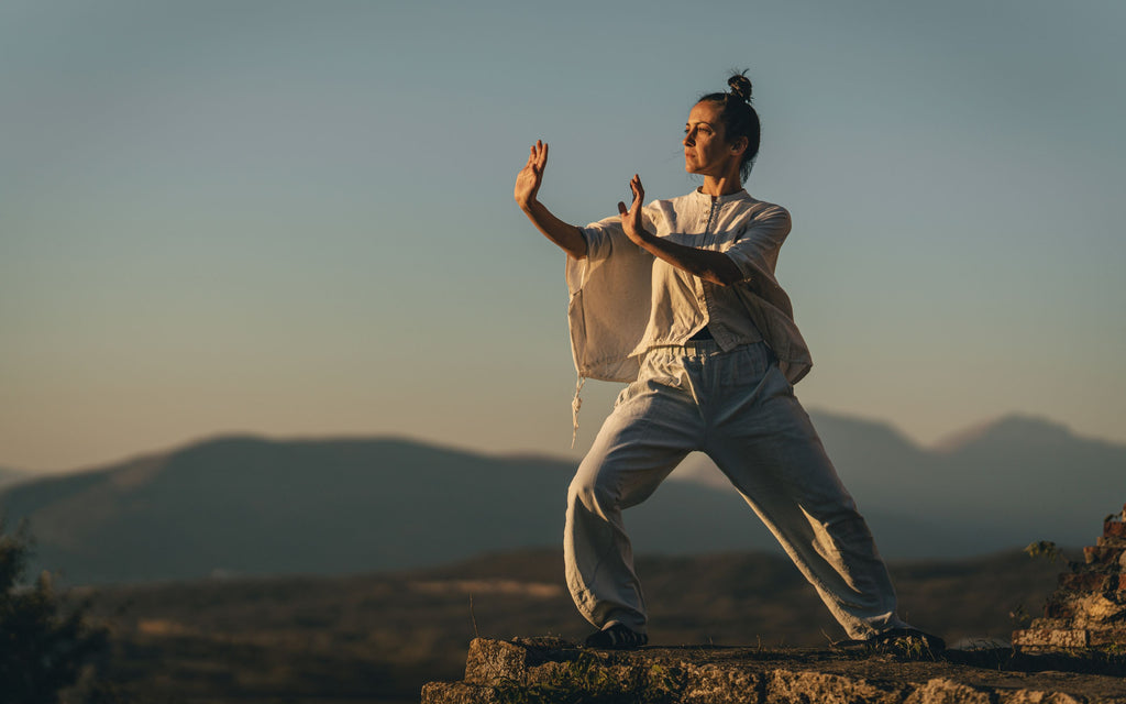 How to Use – Zenchi